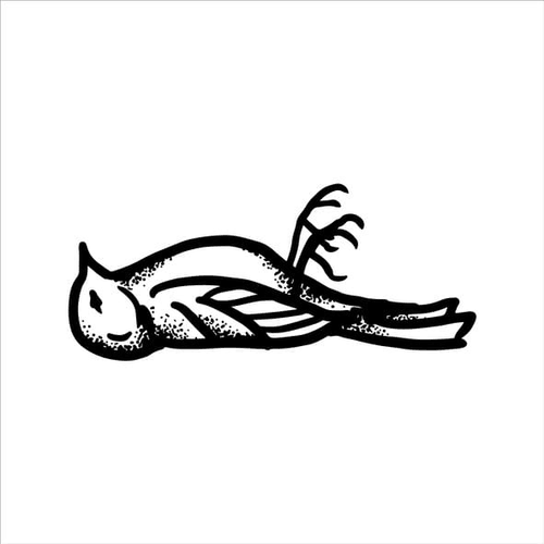 Dead Rat Drawing