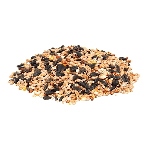 The Waste Whiz App - Region of Waterloo