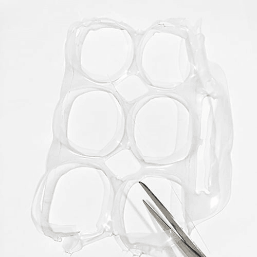 The Waste Whiz App - Region of Waterloo