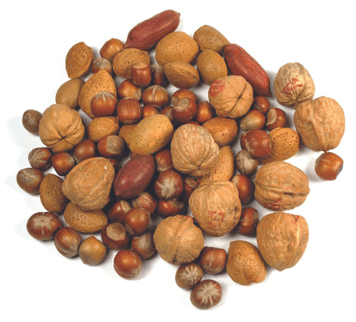 The Waste Whiz App - Region of Waterloo